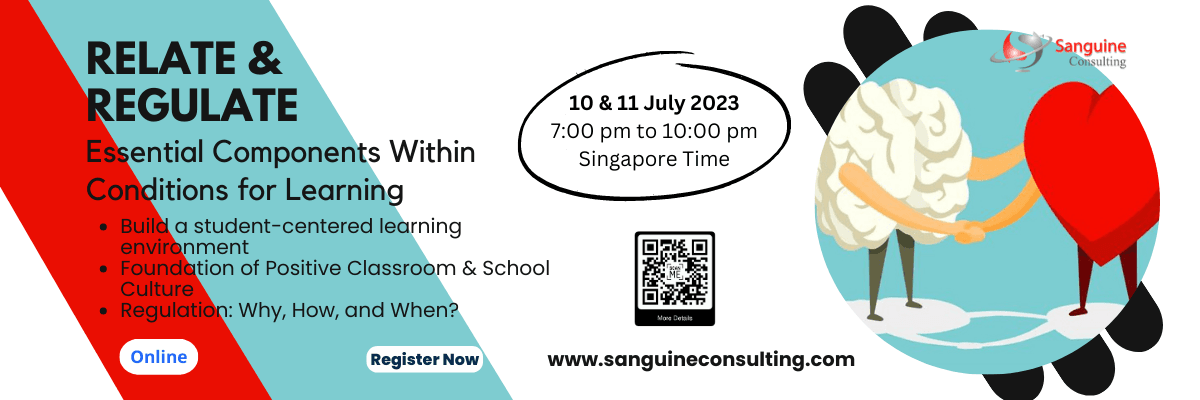 Professional Development for Teachers/Educators - Sanguine Consulting